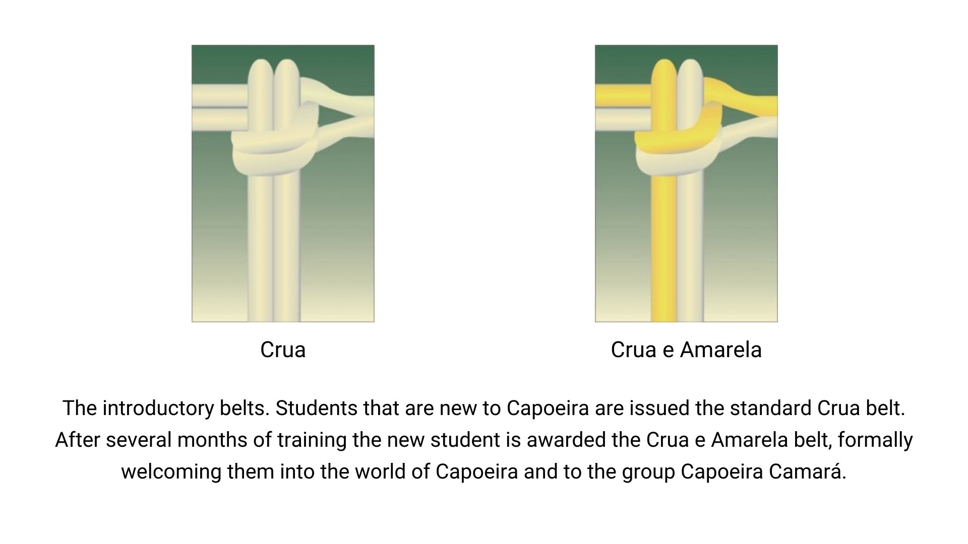 Our Belt System – Capoeira Camarà Toronto